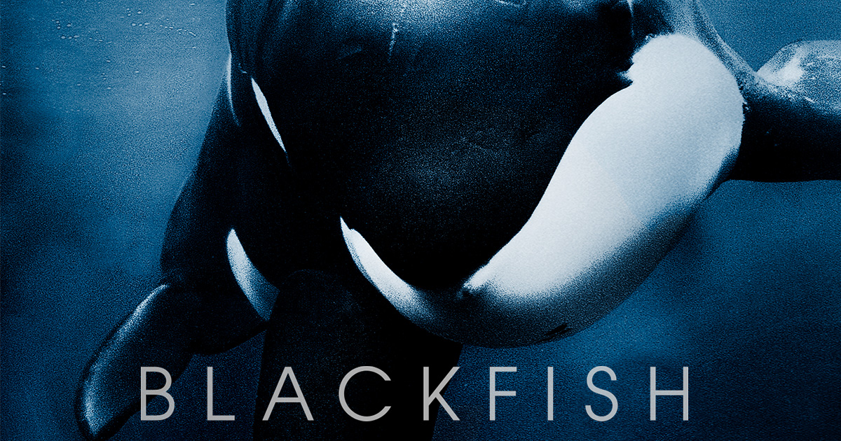 Blackfish - Own it on disc & digital